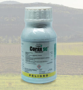 Corax SC - La fuerte